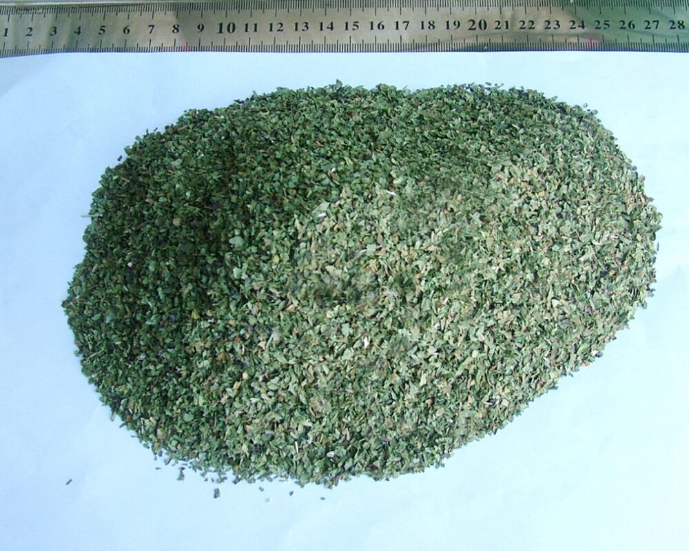 Spearmint - Spice Home